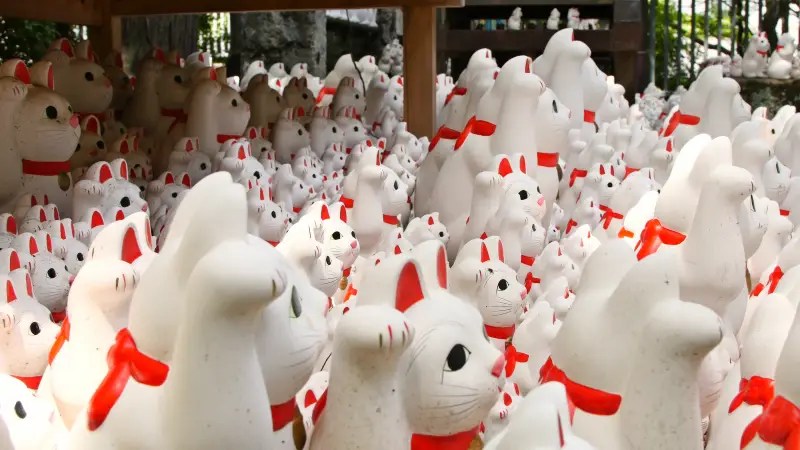 Film Review: Cat Nation – Hit The North